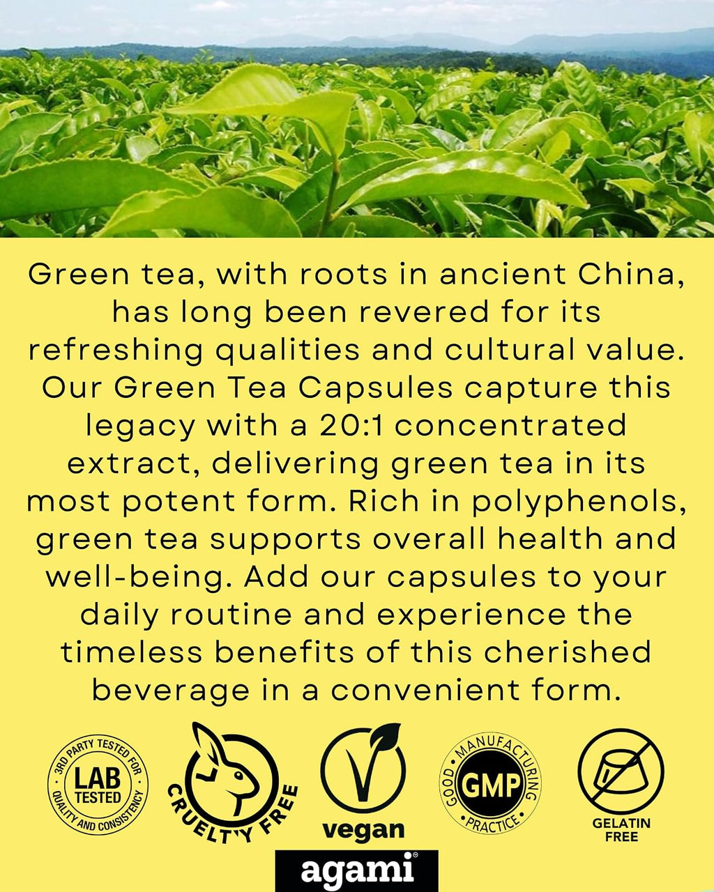 Agami herbal green tea capsules