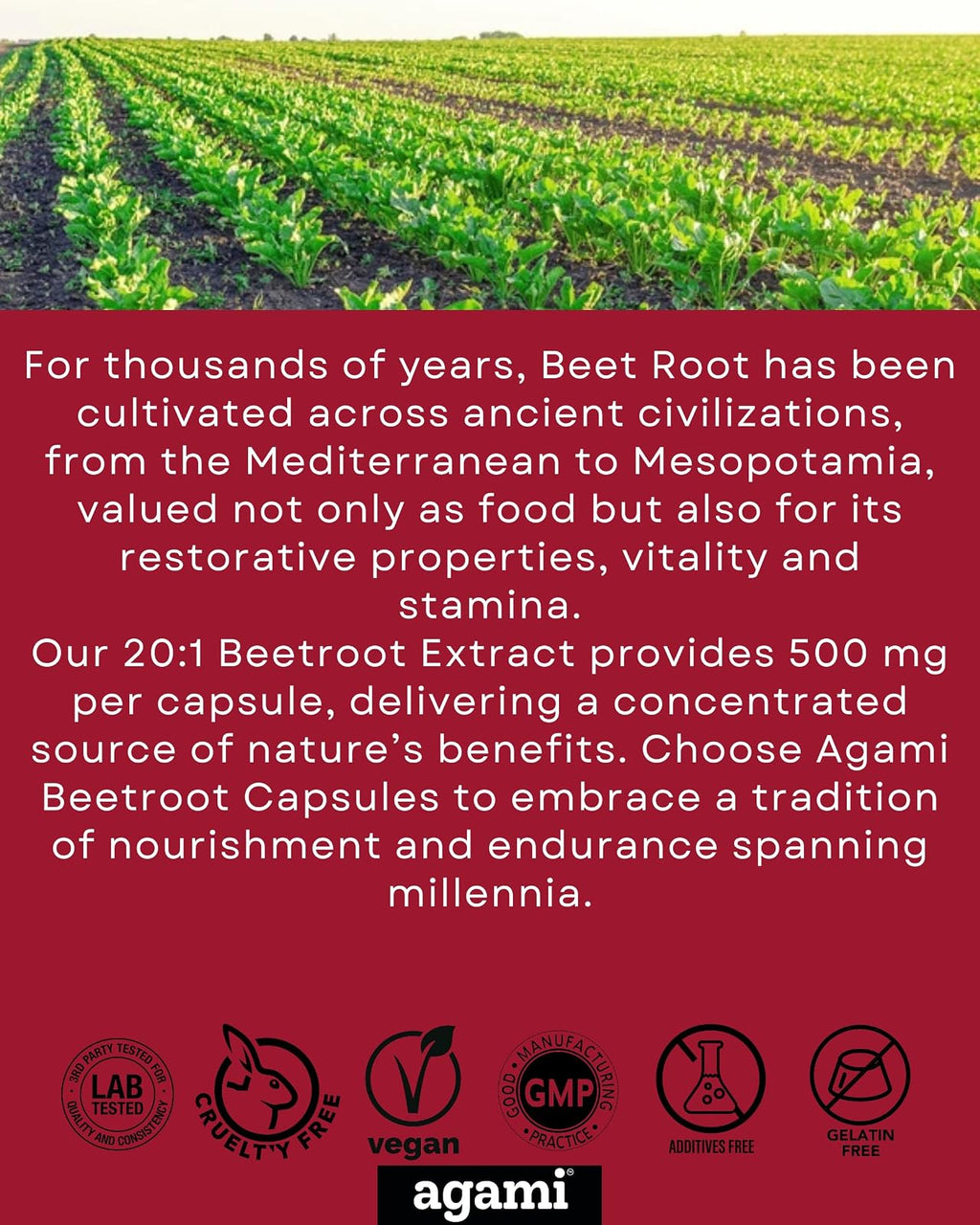 Agami superfood beet root benefits