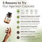 agarikon mushroom for immune support