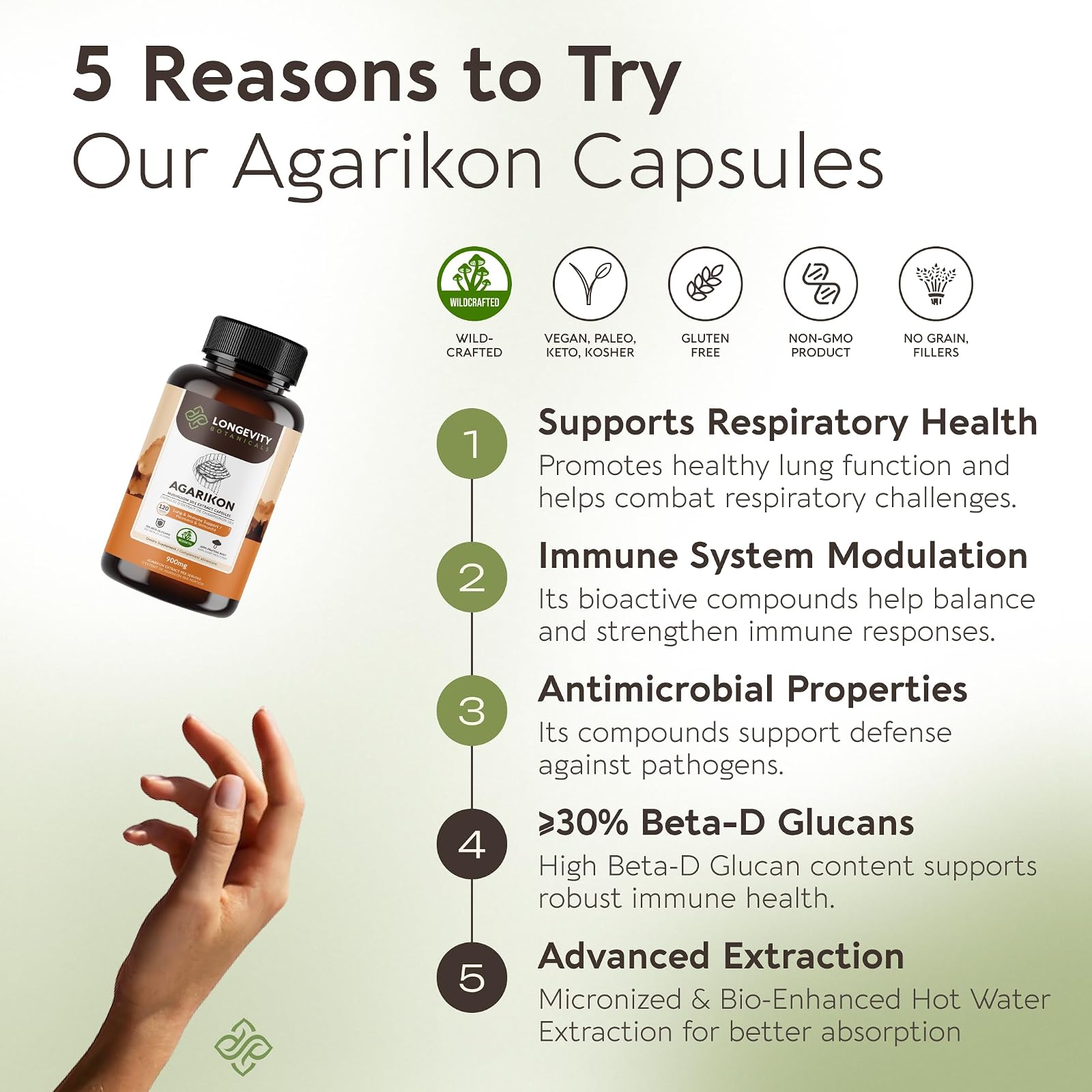 agarikon mushroom for immune support