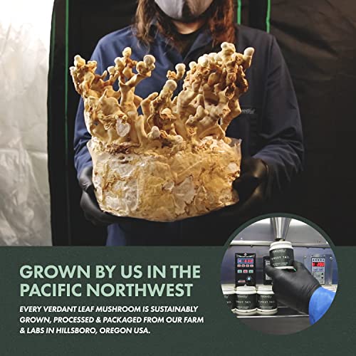 agarikon mushrooms for enhanced immune function