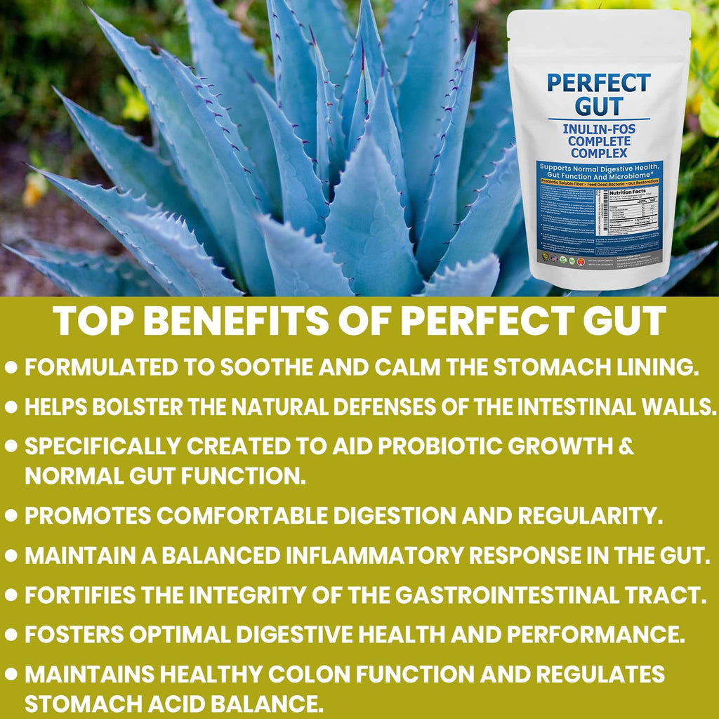agave fiber for gut health