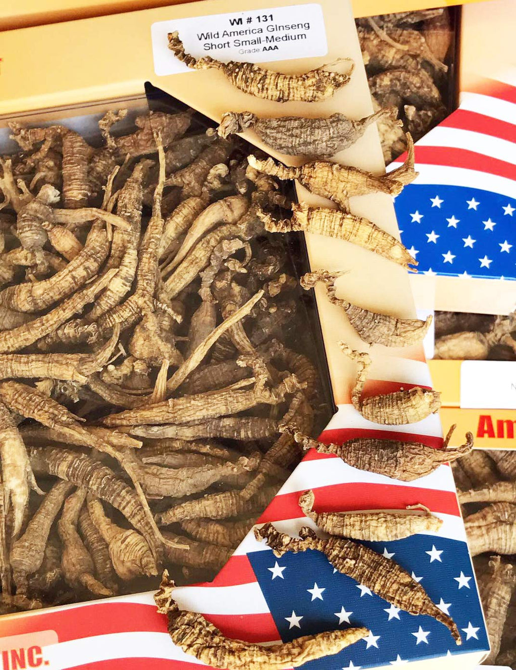 aged 15-20 years ginseng root