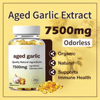 Aged garlic extract benefits for immunity