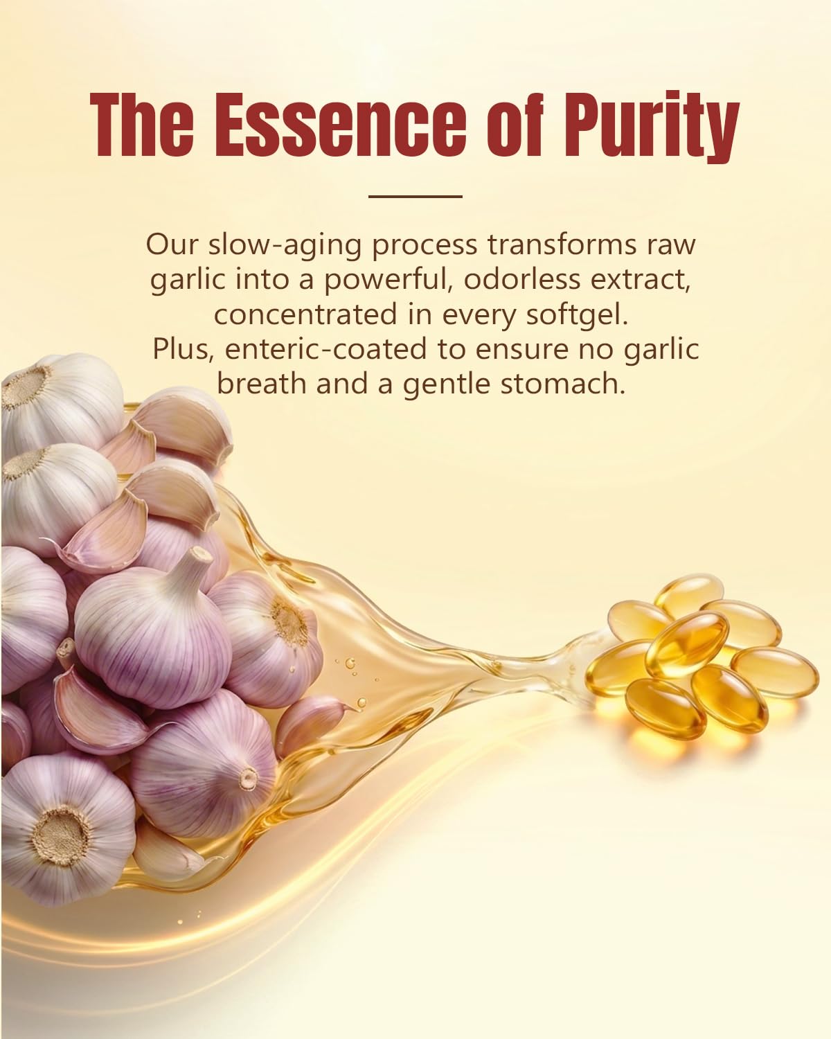 Aged garlic extract for cholesterol support
