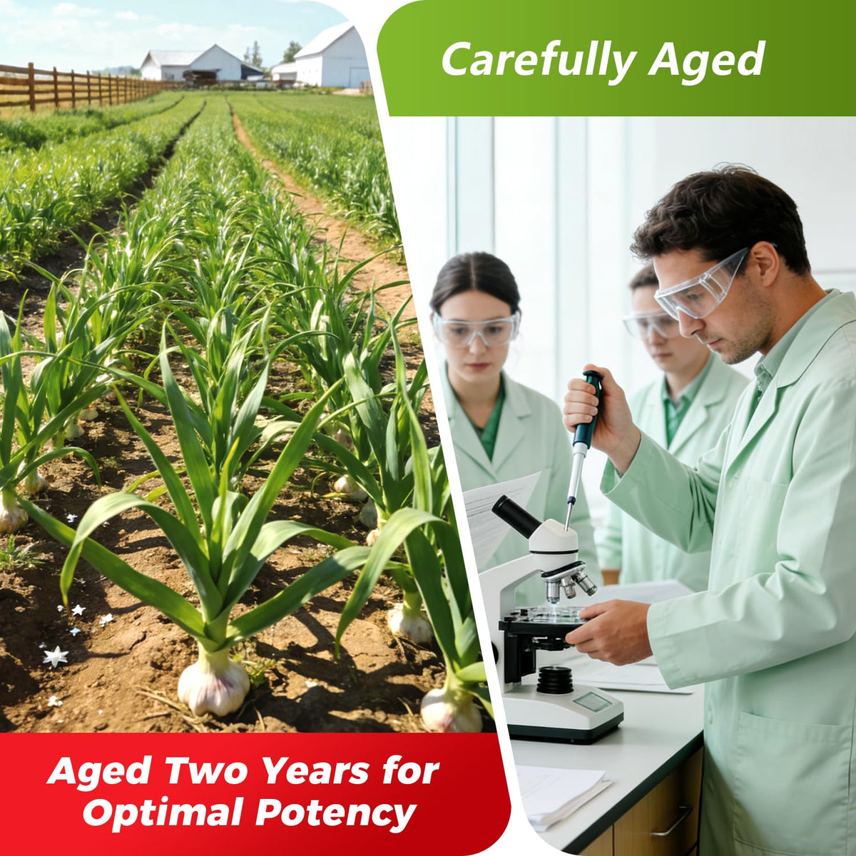 Aged garlic extract for heart health