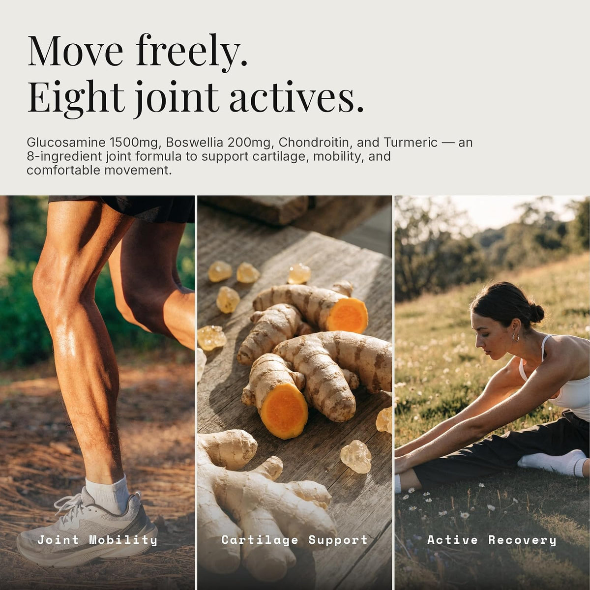 Agility+ glucosamine for active lifestyle