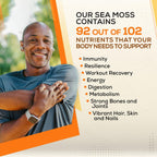 Ahai Life sea moss benefits