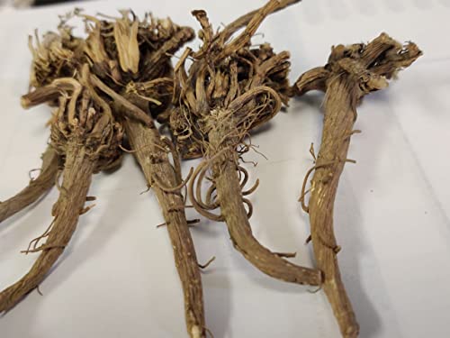 Akarkara for digestive wellness