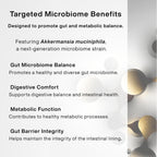 Akkermansia 60 capsules for gut flora