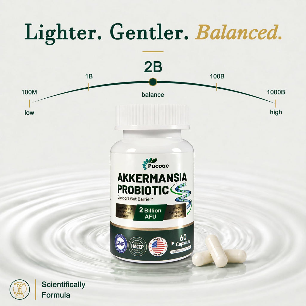 Akkermansia capsules for daily wellness