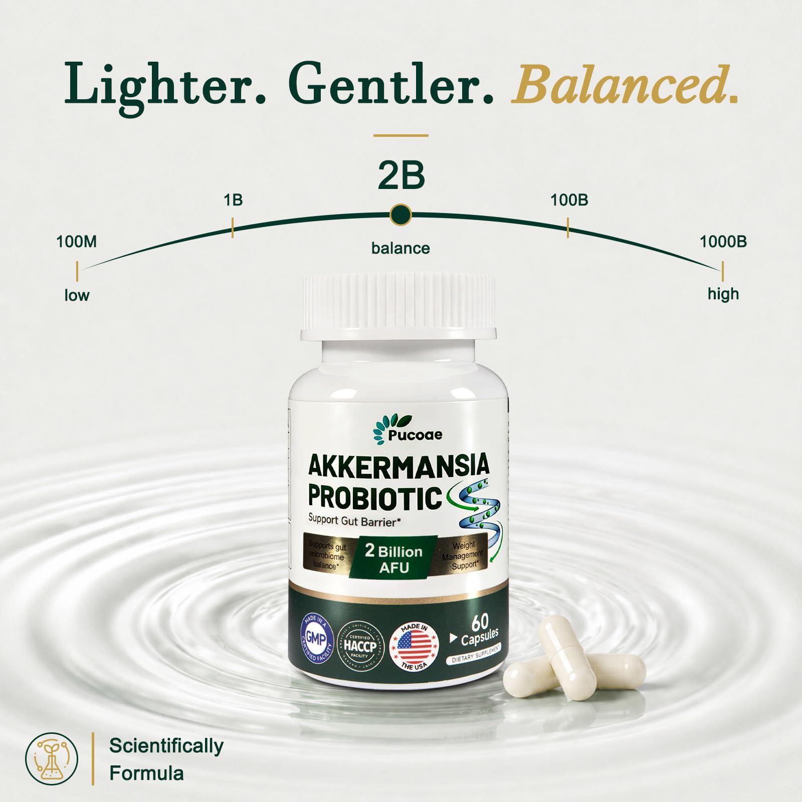 Akkermansia capsules for daily wellness