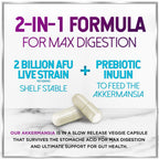 Akkermansia capsules for immune support