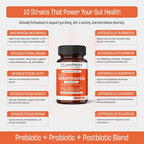 Akkermansia capsules for immune support