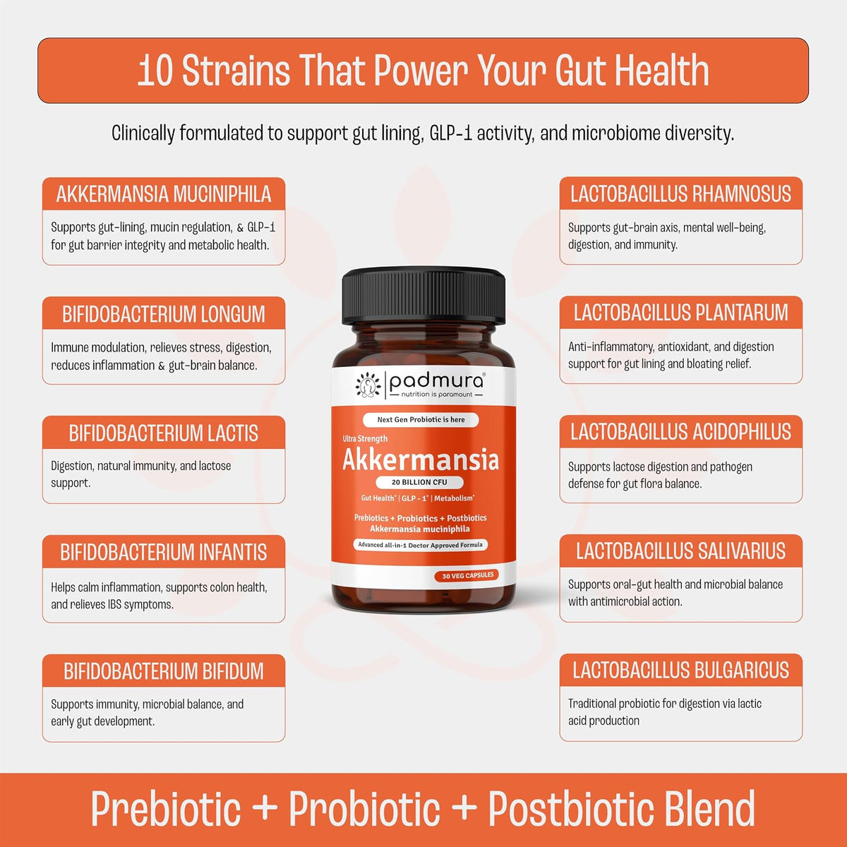 Akkermansia capsules for immune support