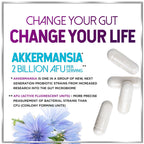 Akkermansia digestive support capsules