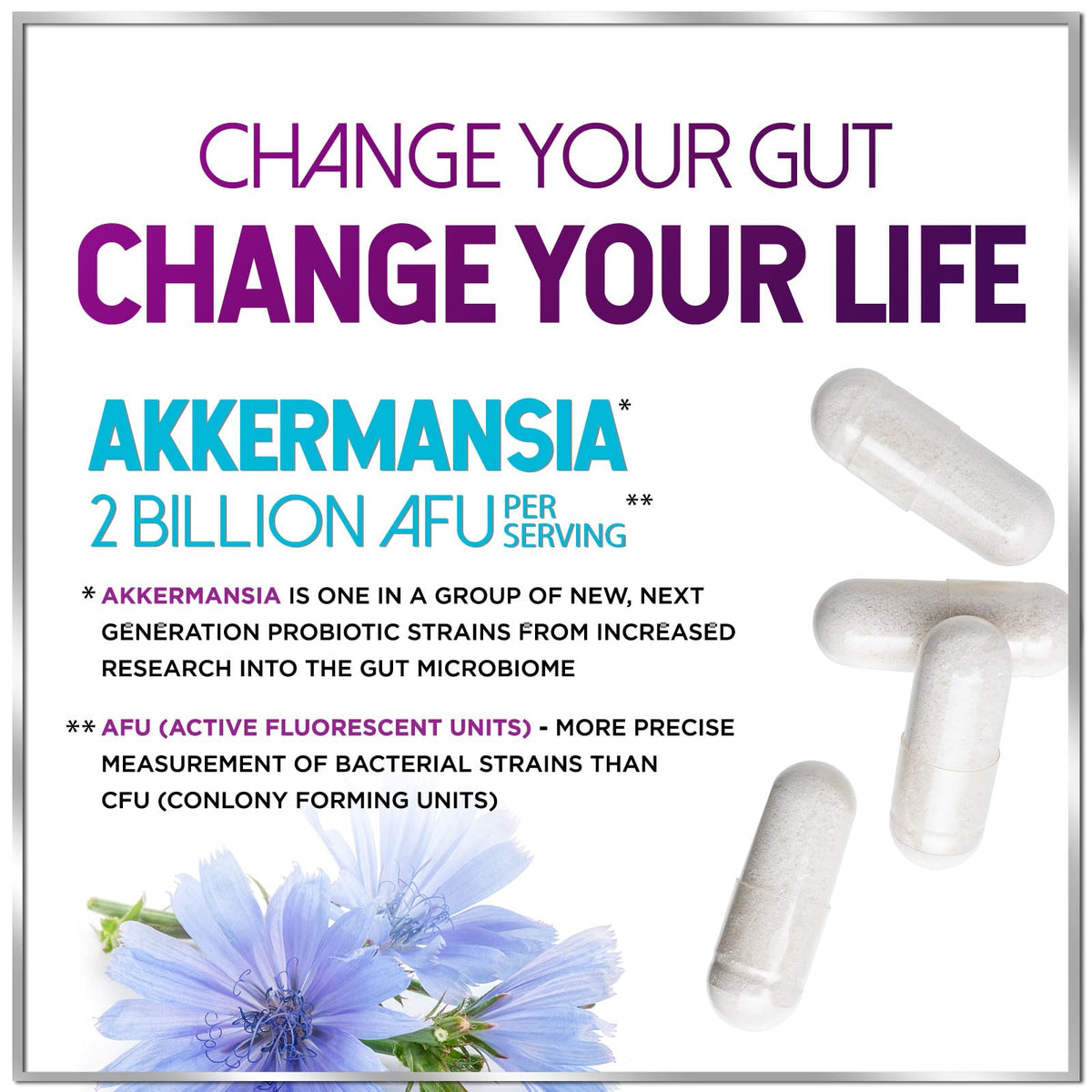 Akkermansia digestive support capsules