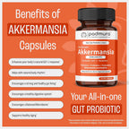Akkermansia digestive support supplement