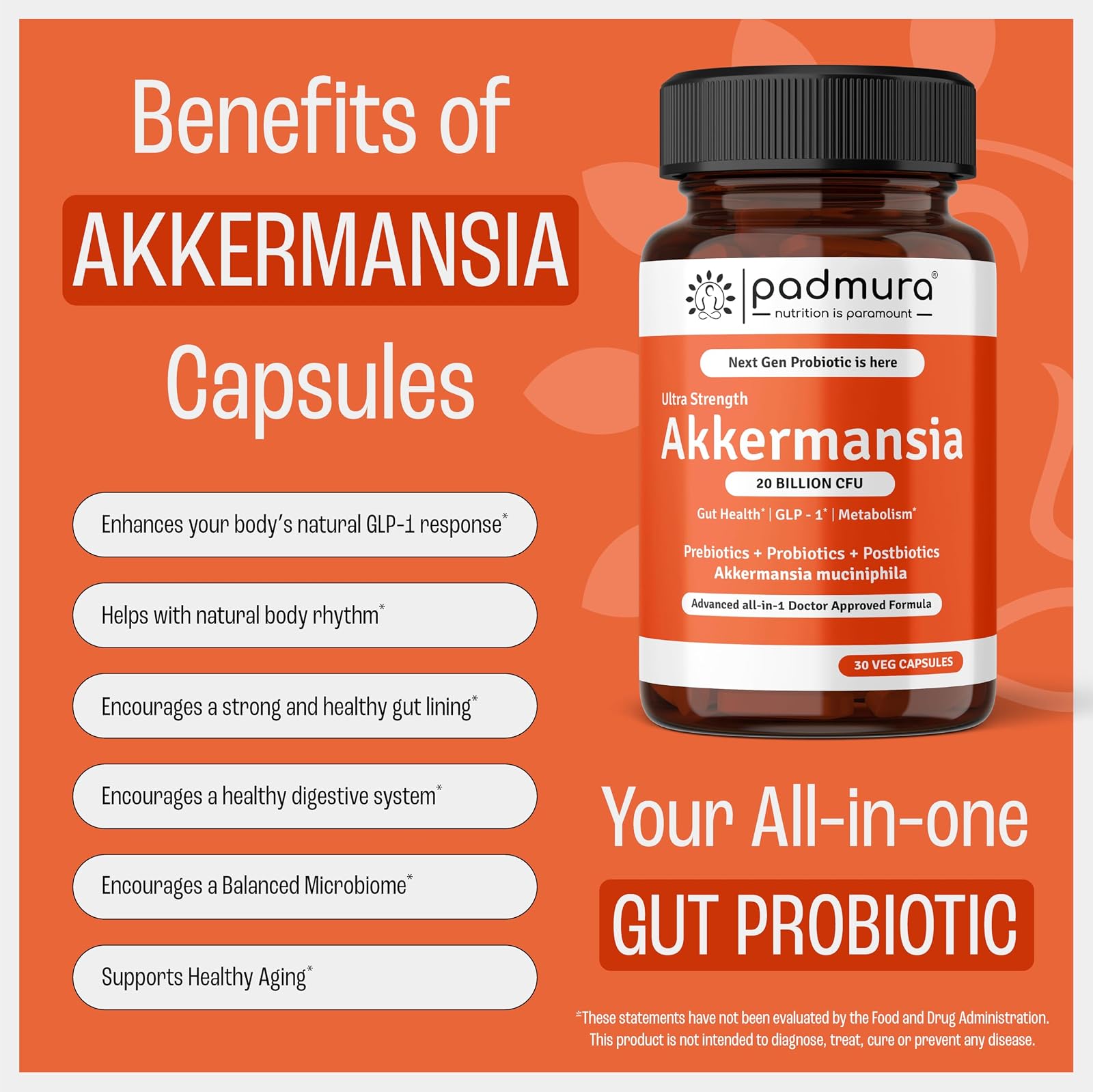 Akkermansia digestive support supplement