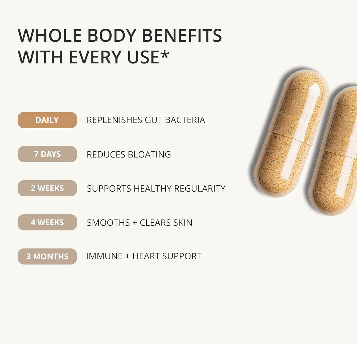 Akkermansia digestive support supplement