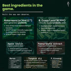 Akkermansia for balanced digestion