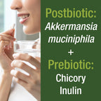 Akkermansia for balanced gut microbiome