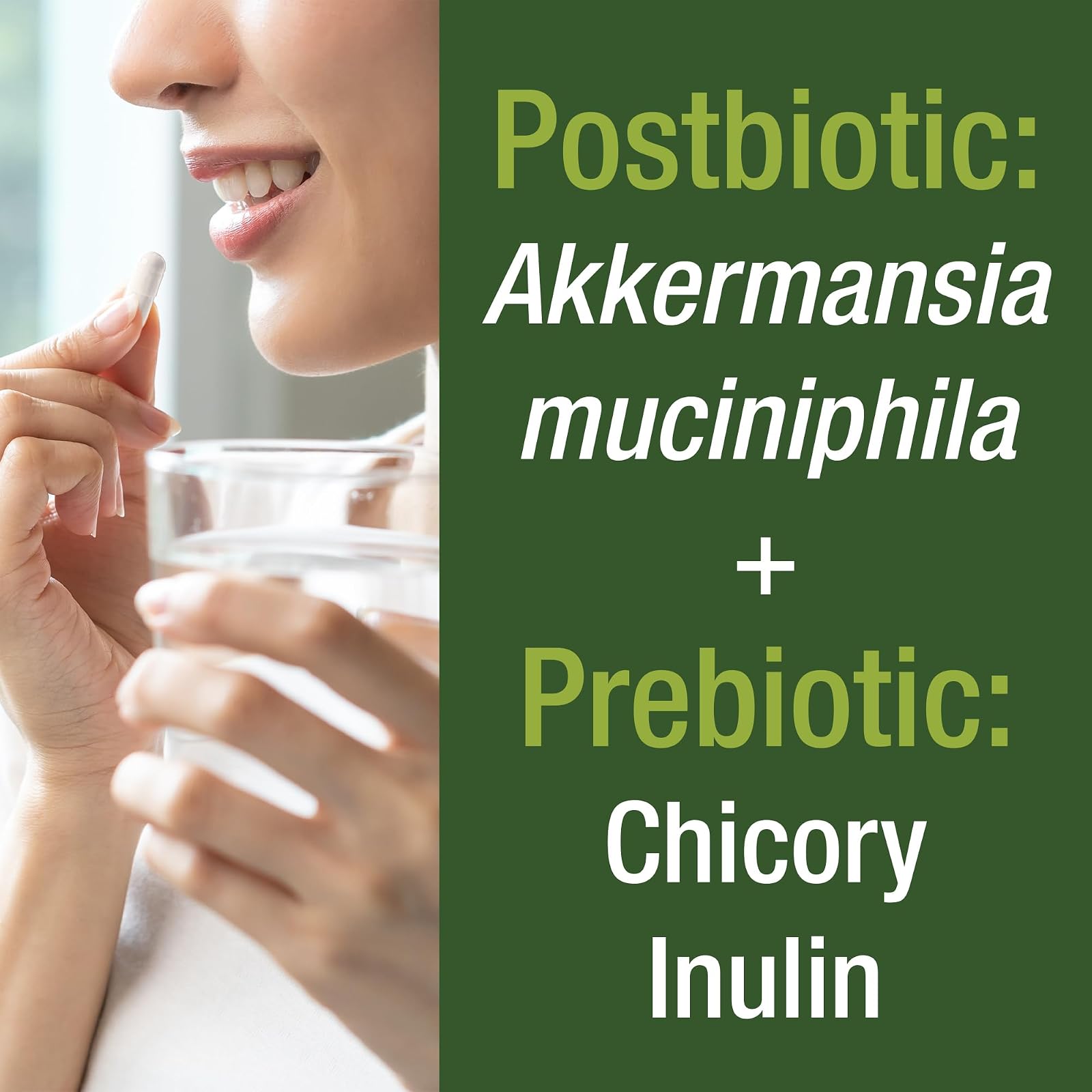 Akkermansia for balanced gut microbiome