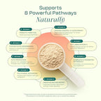 Akkermansia for digestive health