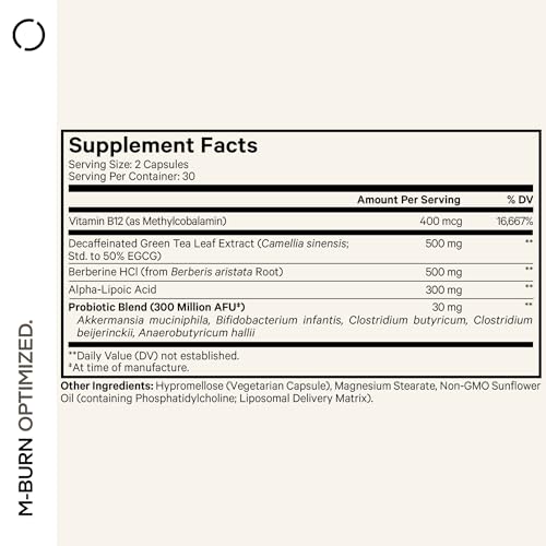 Akkermansia for gut health improvement