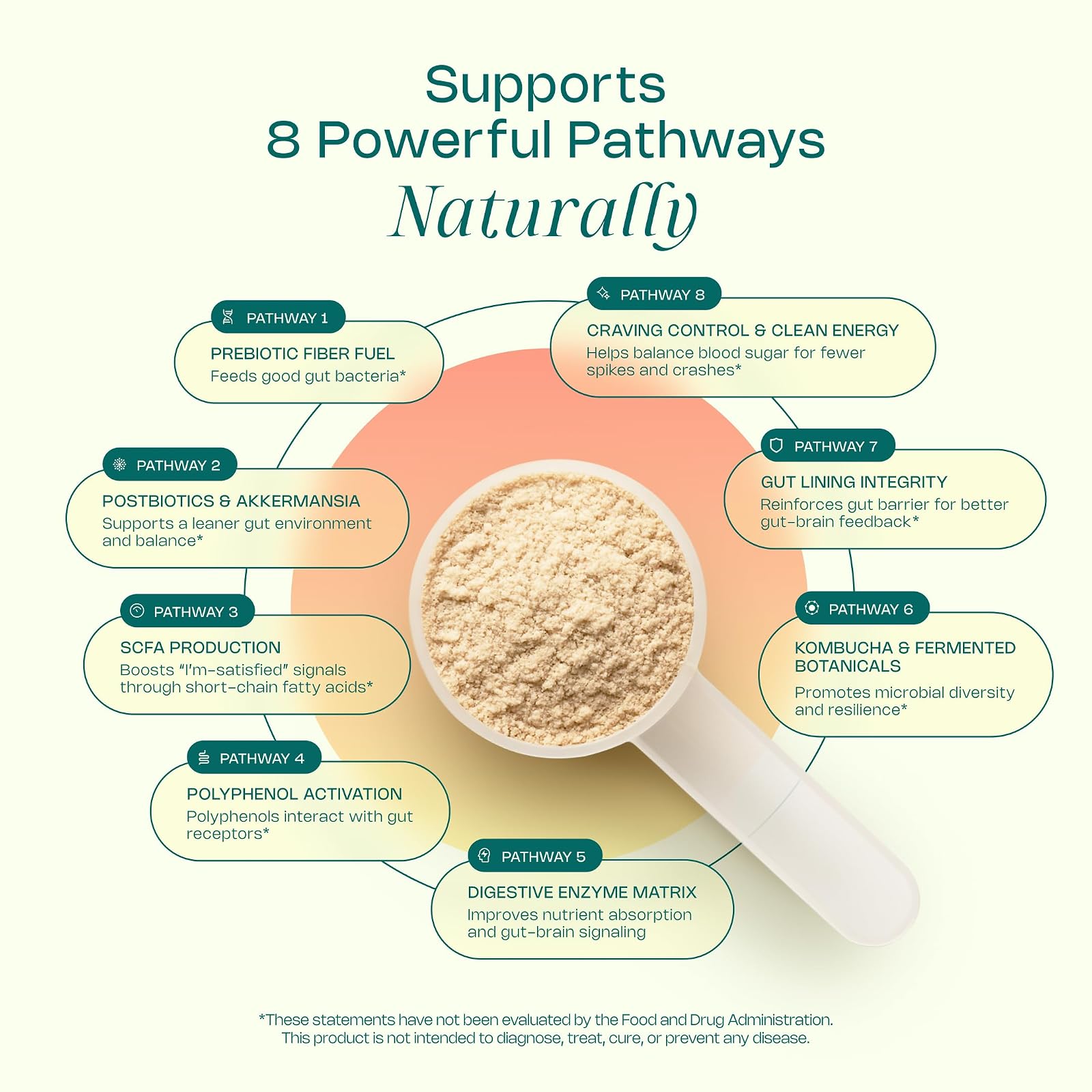 Akkermansia for gut health