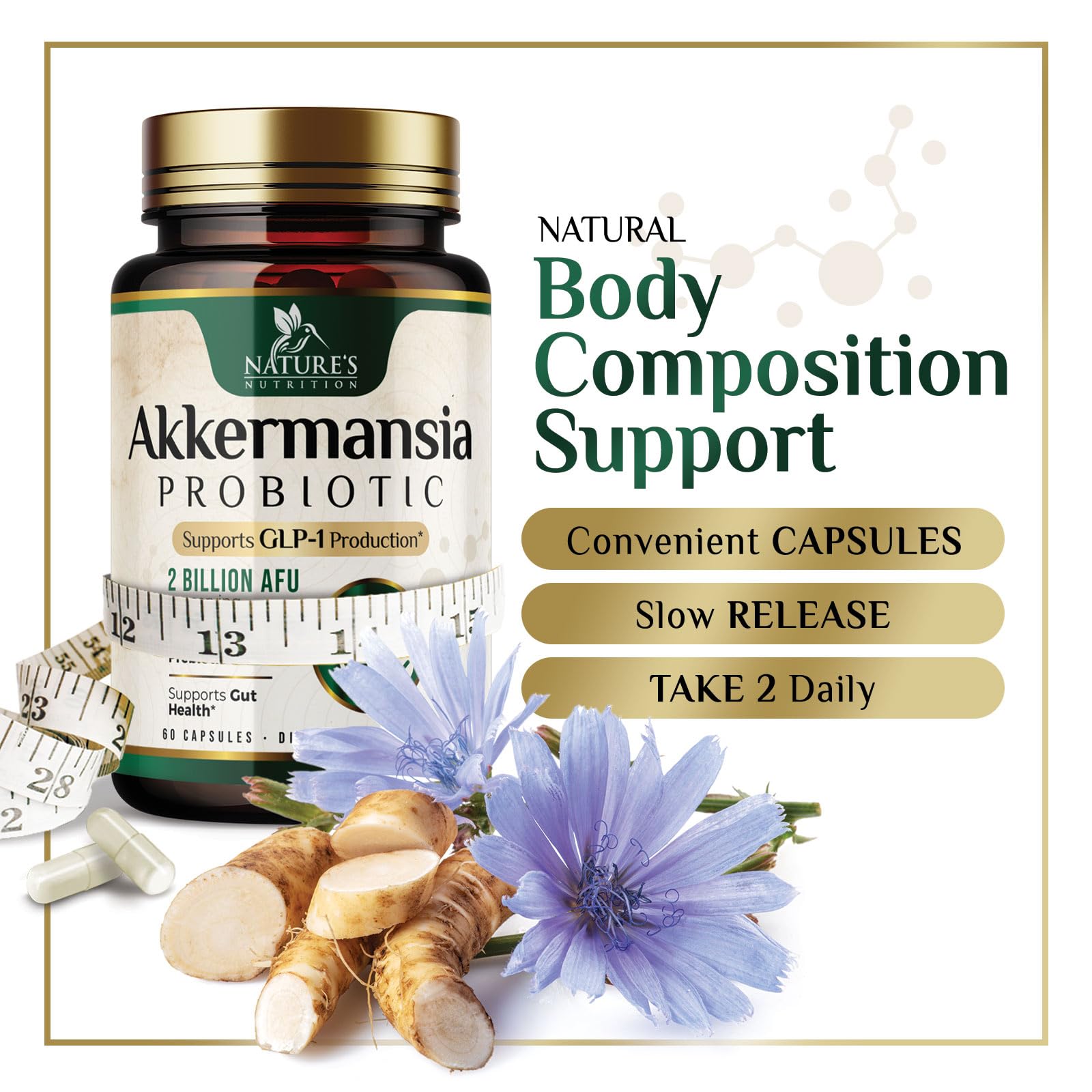 Akkermansia for immune support