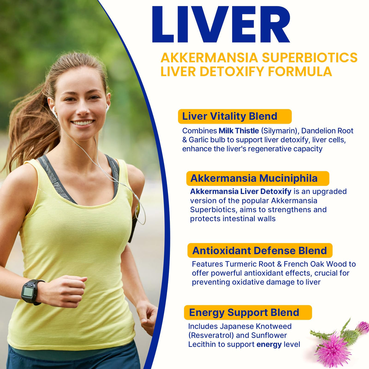 Akkermansia for liver health