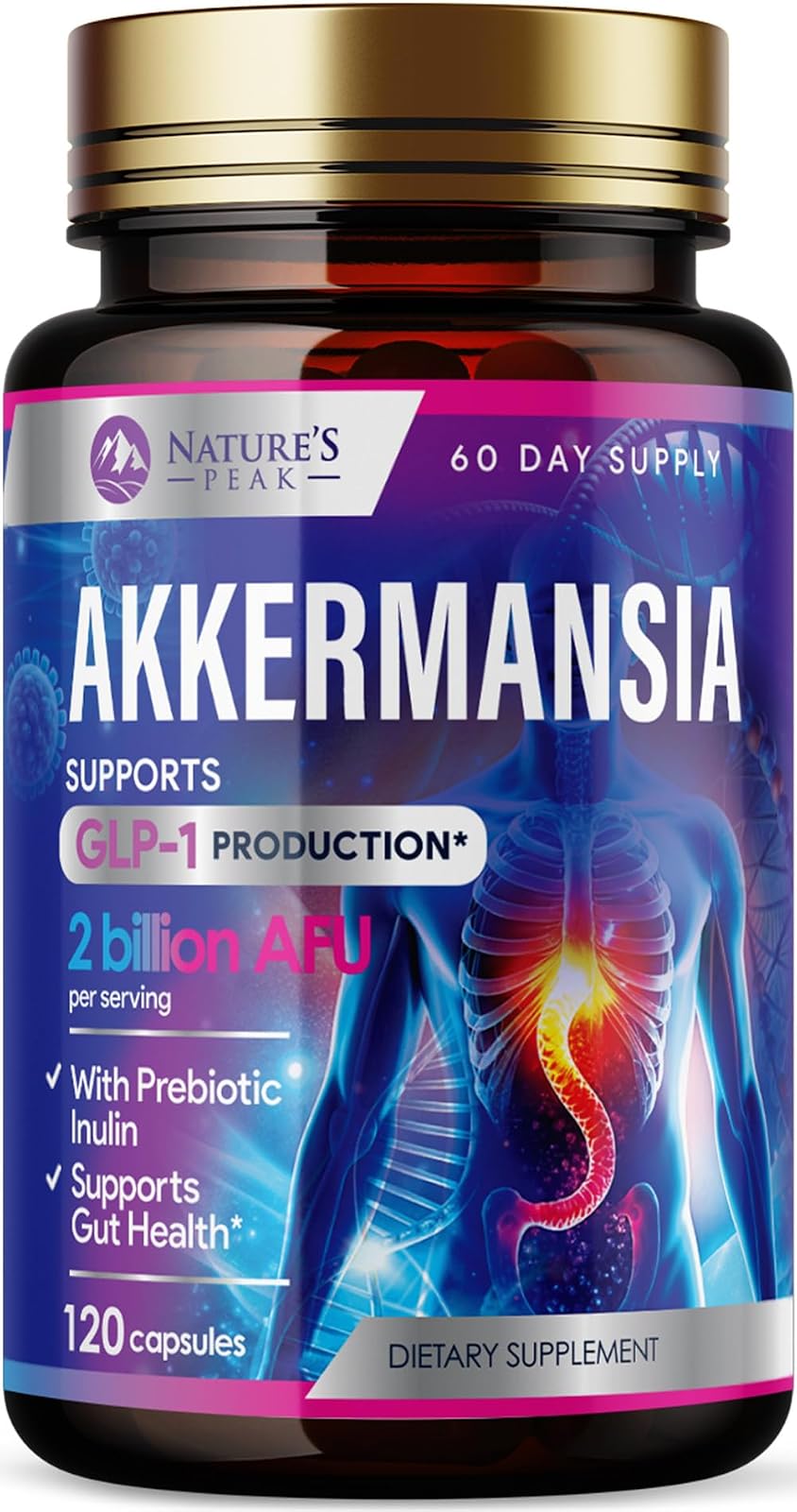 Akkermansia gut health support capsules