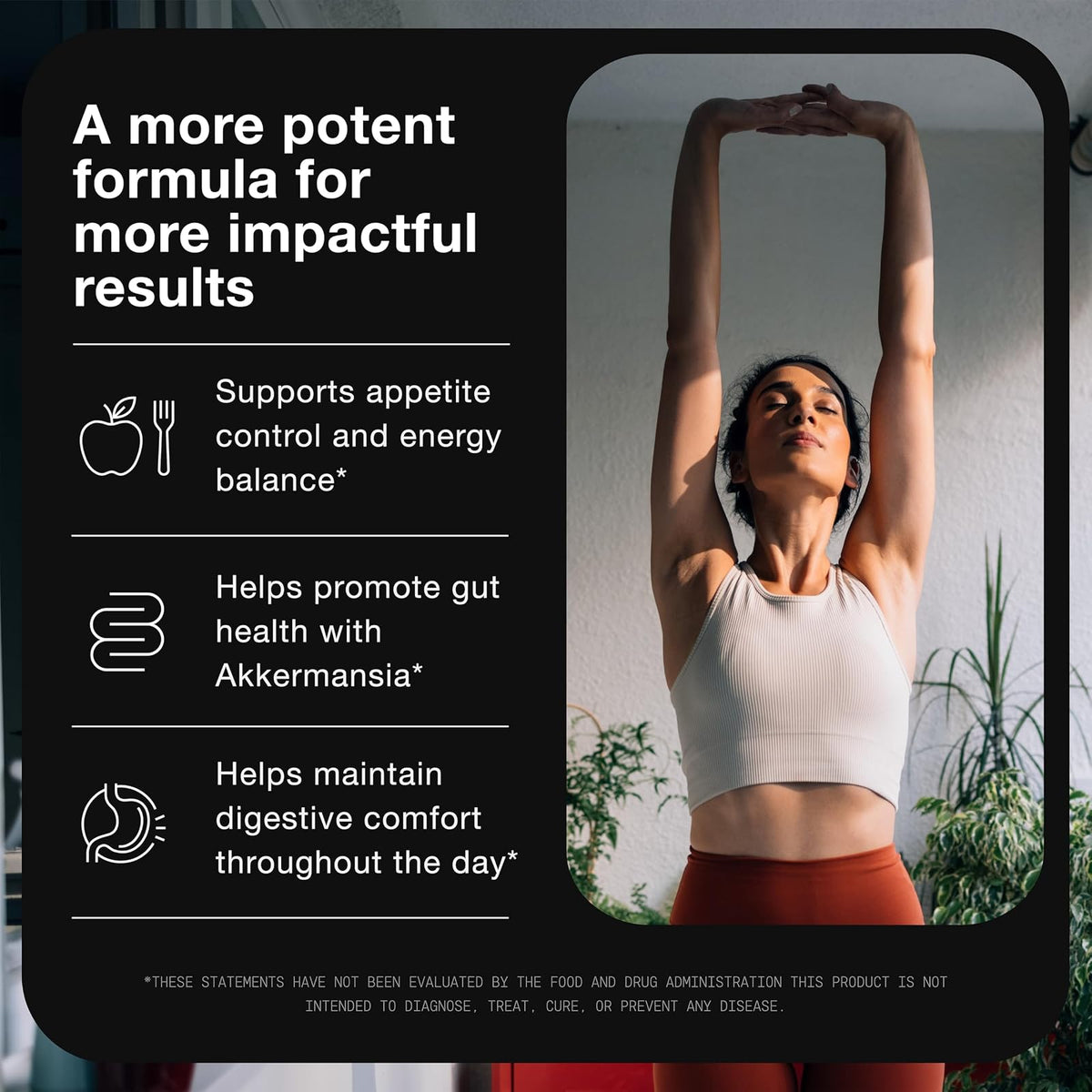 Akkermansia health benefits supplement
