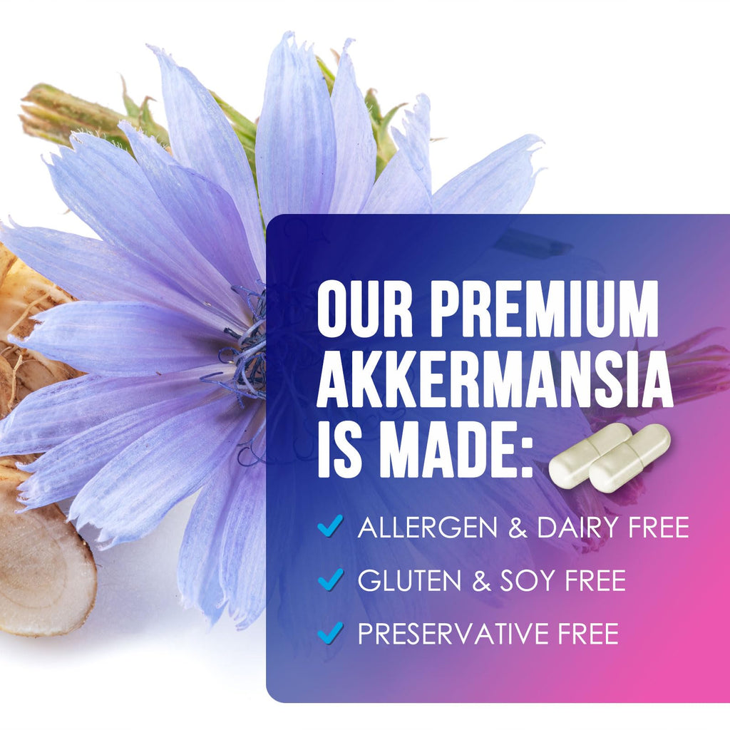Akkermansia immune system support