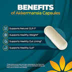 Akkermansia kids probiotic for immune support