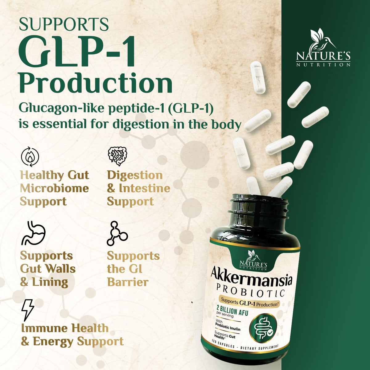 Akkermansia Muciniphila capsules for wellness