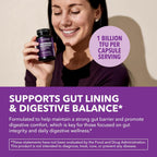 Akkermansia Muciniphila for balanced digestion