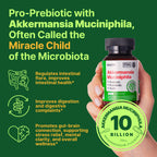 Akkermansia Muciniphila for balanced microbiome