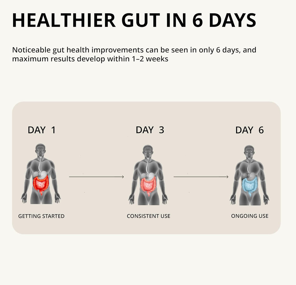 Akkermansia Muciniphila gut flora balance