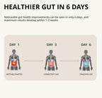 Akkermansia Muciniphila gut flora balance