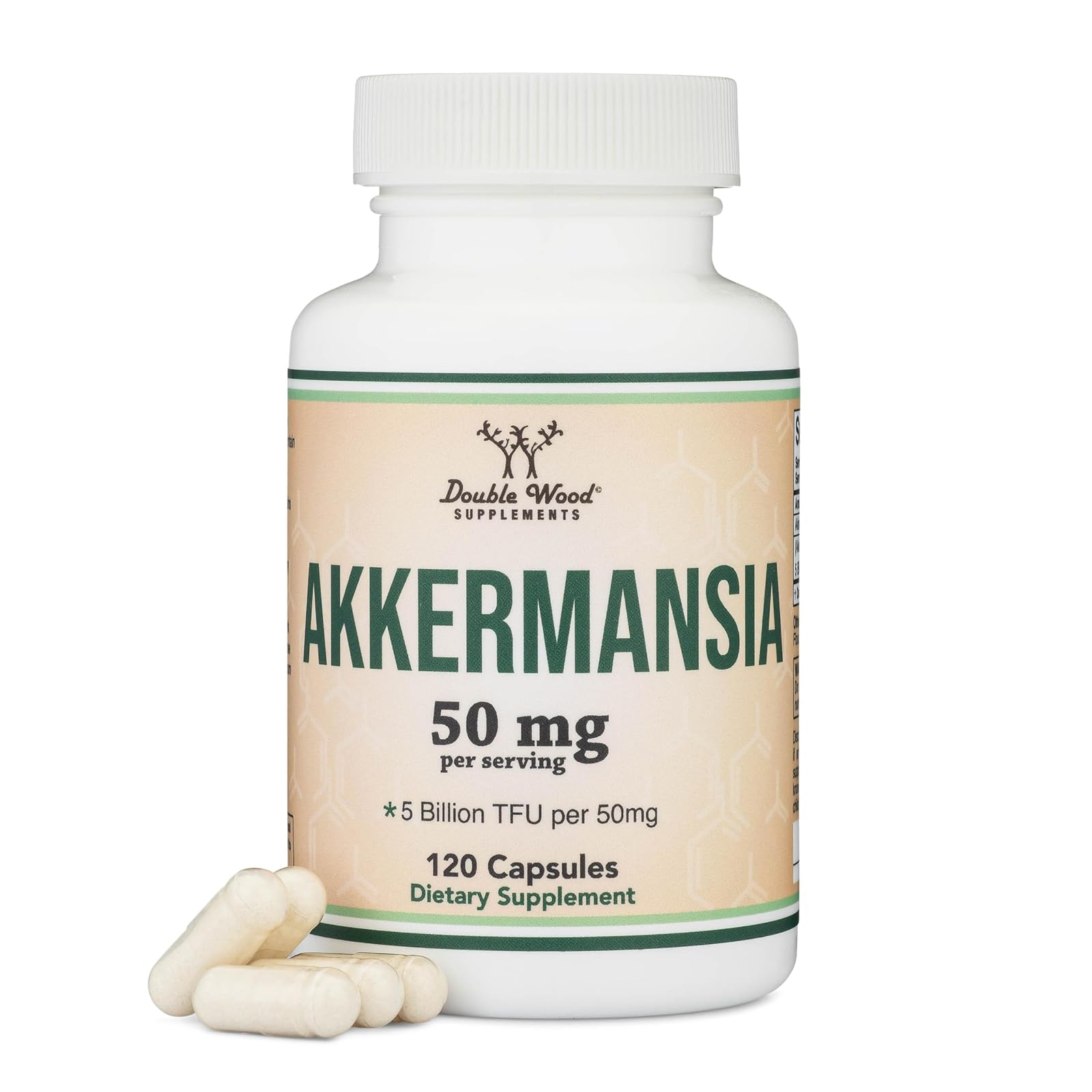 Akkermansia postbiotic for gut health