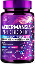 Akkermansia probiotic capsules for gut health