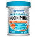 Akkermansia probiotic for gut health