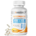 Akkermansia probiotic for gut health