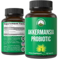 Akkermansia probiotic for gut health