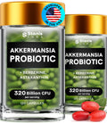 Akkermansia probiotic for gut health