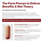 Akkermansia probiotic for immune boost