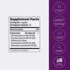 Akkermansia probiotic for immune support