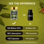 Akkermansia probiotic for overall health